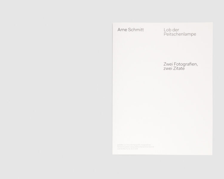 malenki.net | Lob der Peitschenlampe | Arne Schmitt